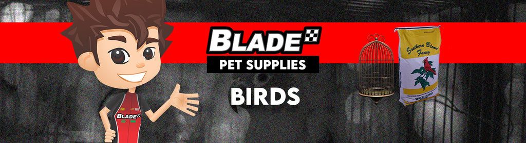 Birds – blade.ph