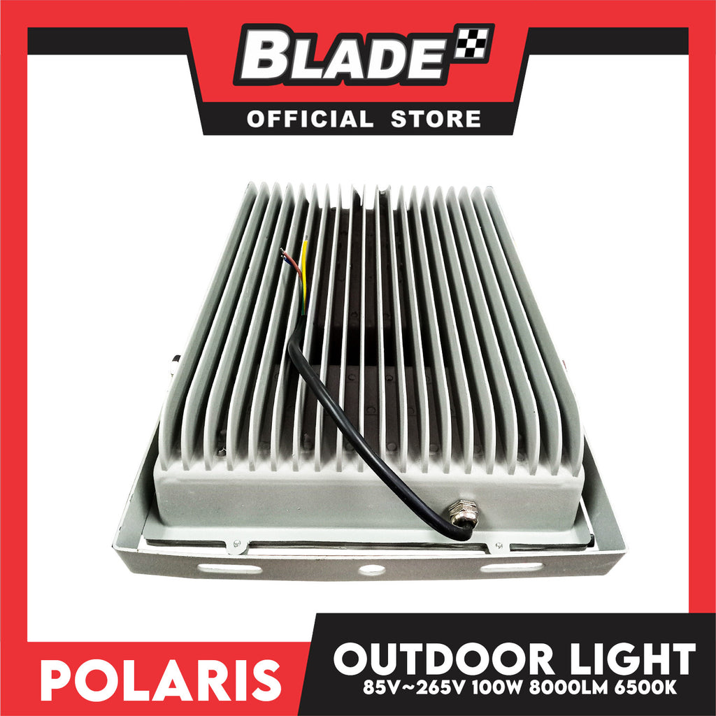 Polaris LED Flood Light 100W 800lm 6500k Outdoor Light – blade.ph