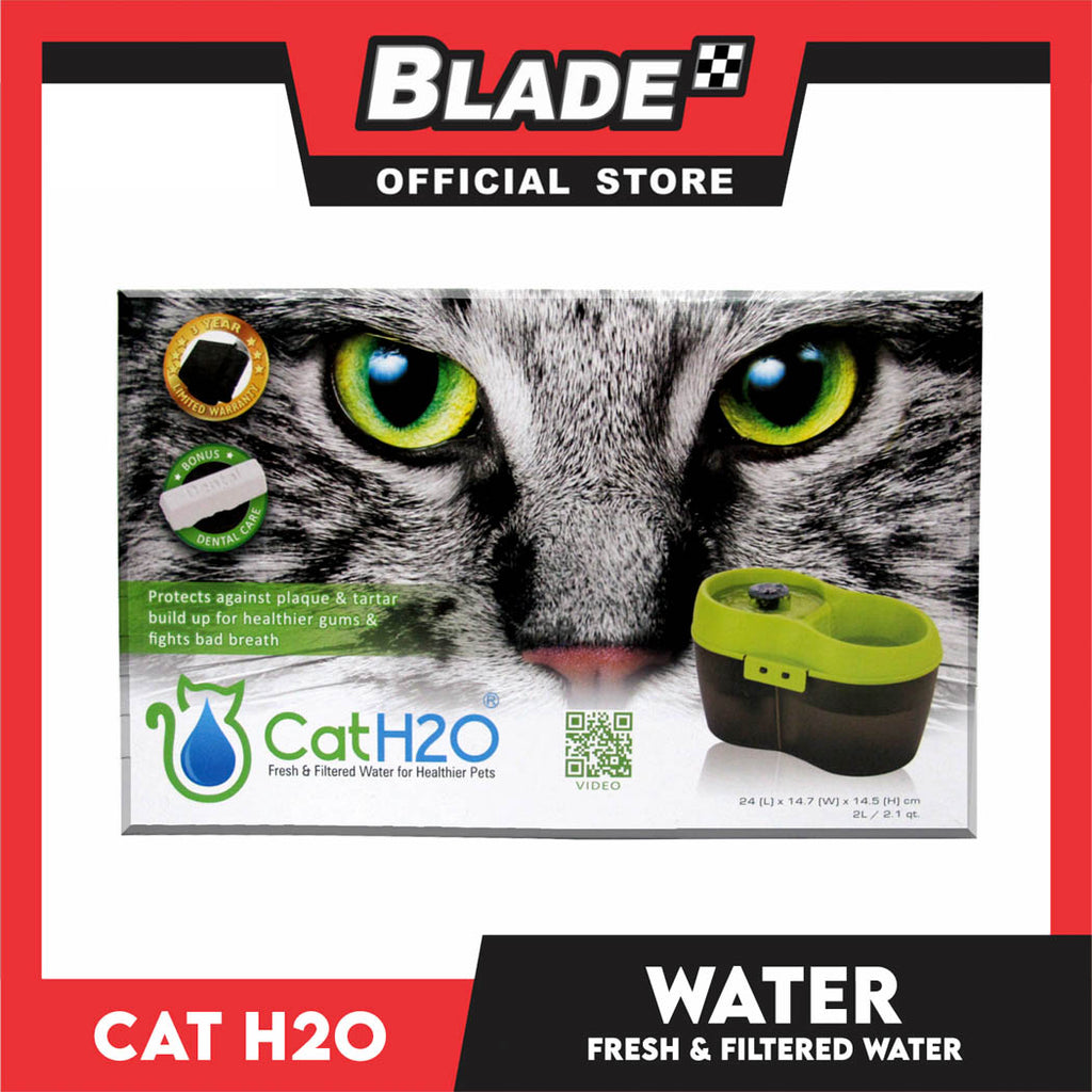 Cat H2o 2 Liters Water Fountain BPA Free with Filter and Dental Care ...