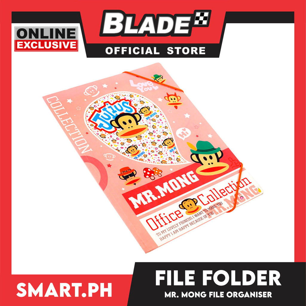 Gifts File Folder School Supplies (Assorted Colors and Designs) – blade.ph