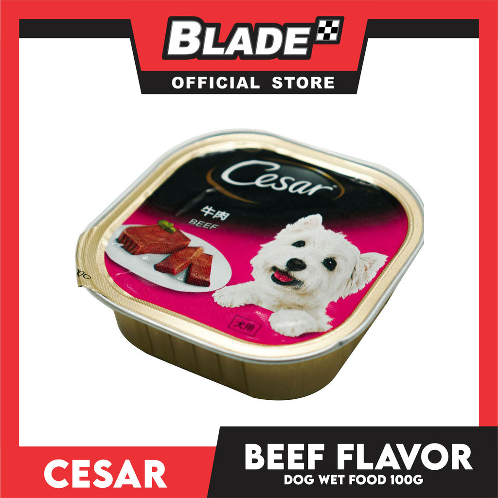 Cesar Beef Flavor 100g Dog Wet Food – blade.ph