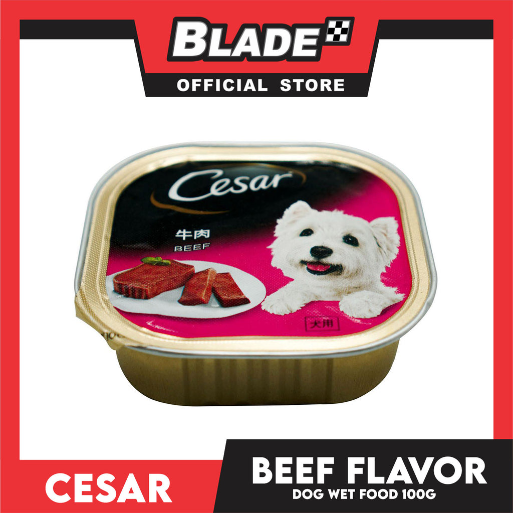 Cesar Beef Flavor 100g Dog Wet Food – blade.ph